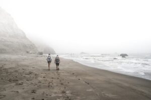 What to Do in Point Reyes in Winter - Olema House Point Reyes