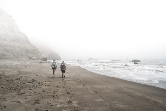 What to Do in Point Reyes in Winter - Olema House Point Reyes